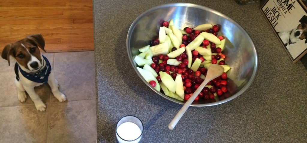 Cran-Apple Crisp - American Lifestyle Magazine