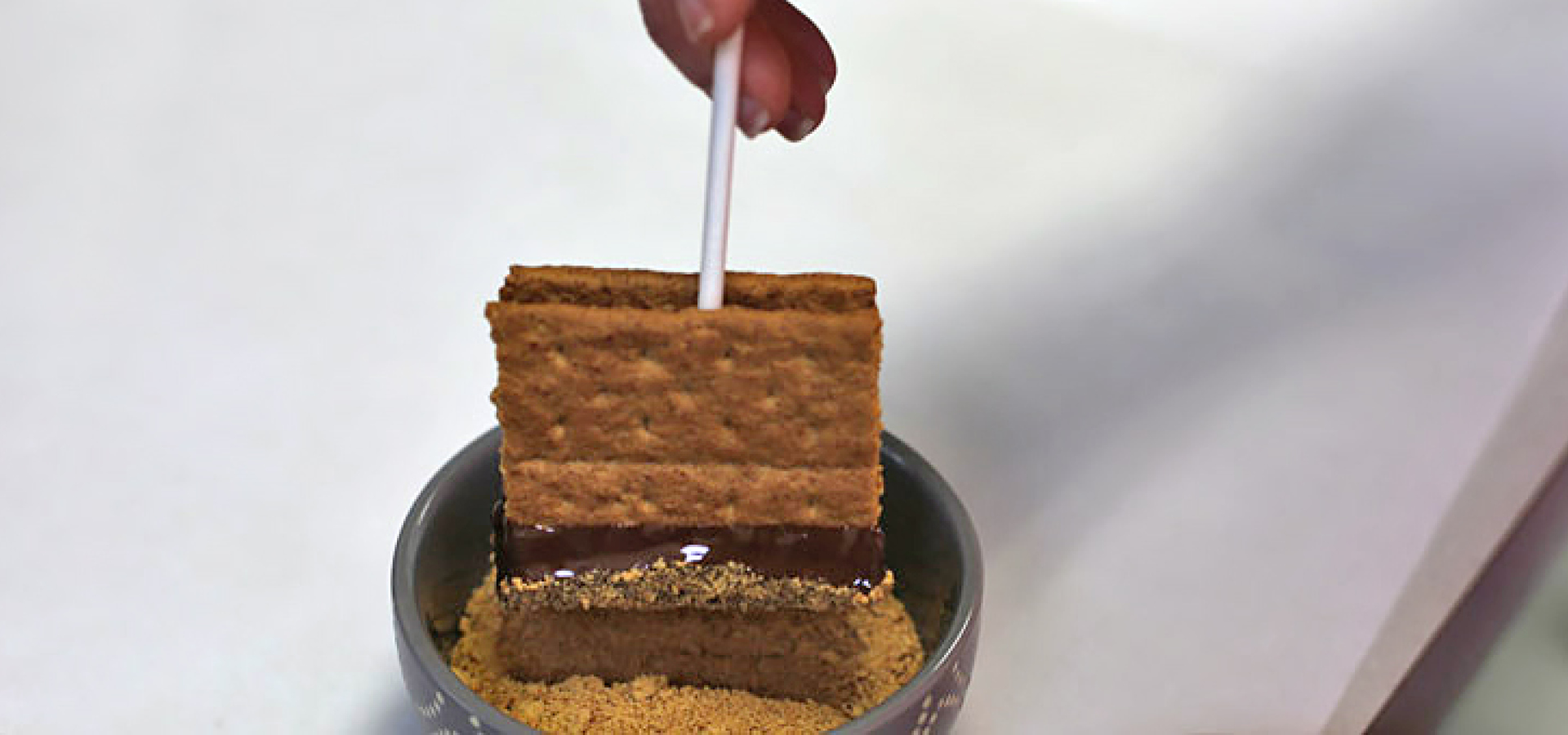 S'mores on a Stick - American Lifestyle Magazine