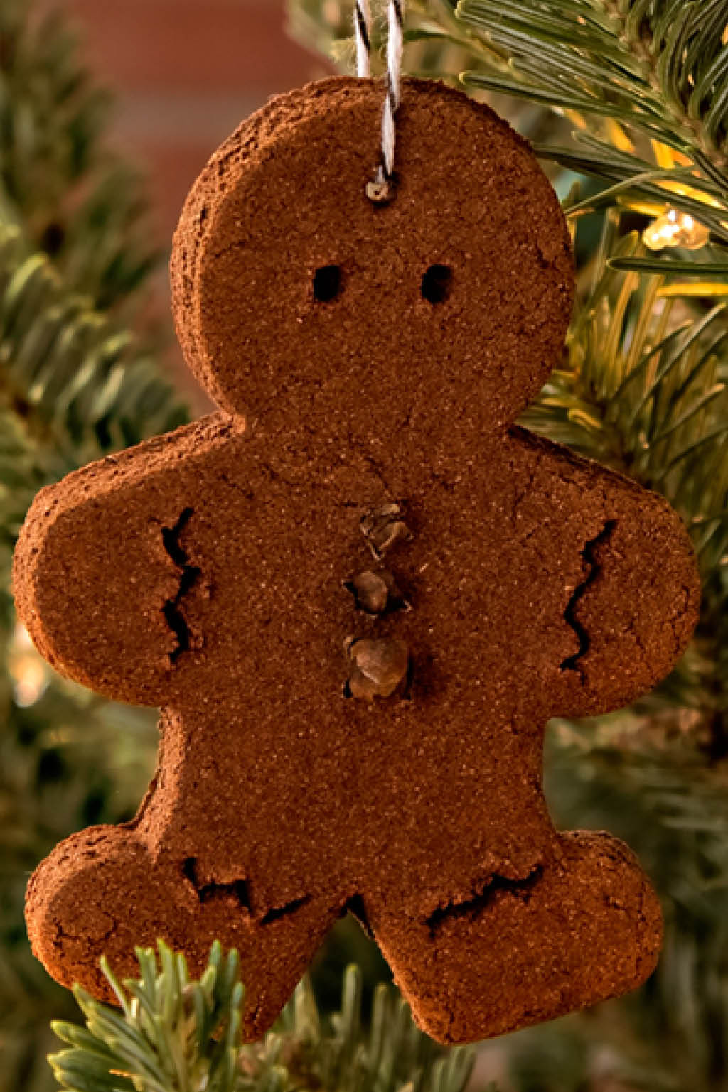 apple-cinnamon-man-ornament - American Lifestyle Magazine