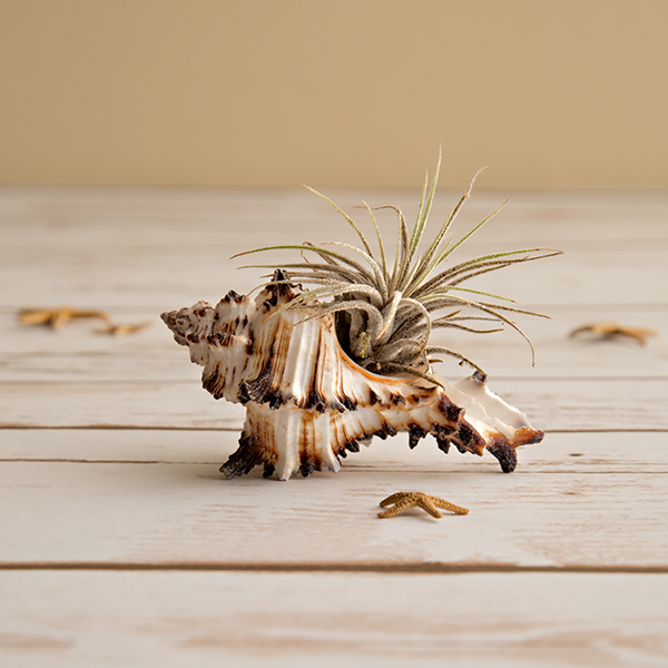 unexpected-planters-instagram - American Lifestyle Magazine