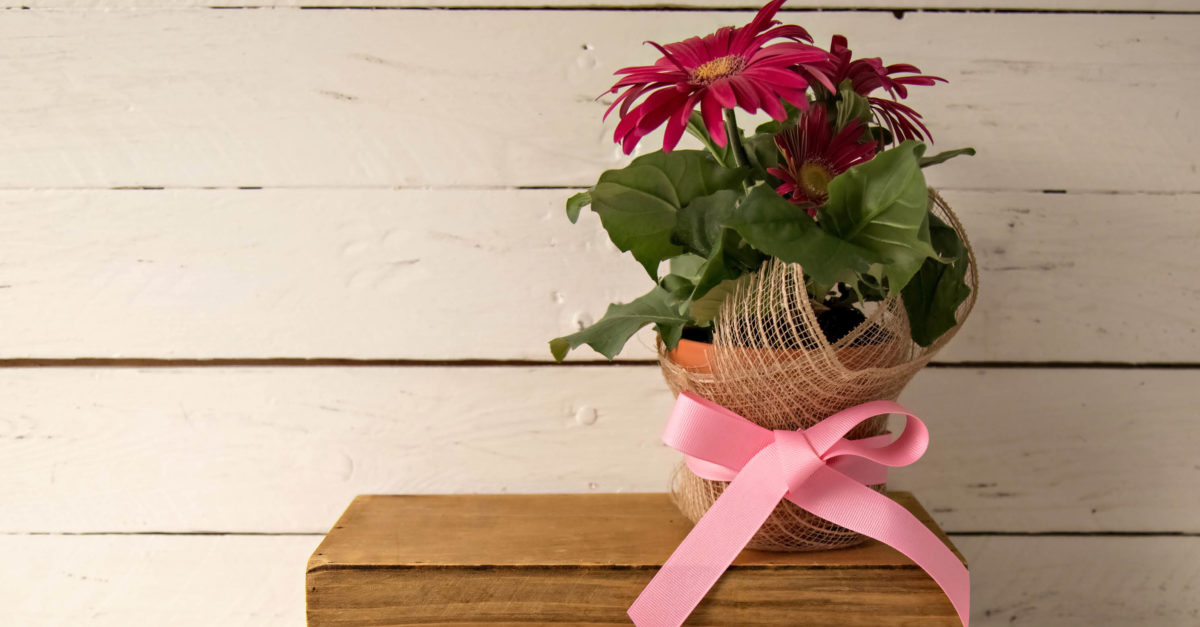 Beautiful Burlap-Covered Pots - American Lifestyle Magazine