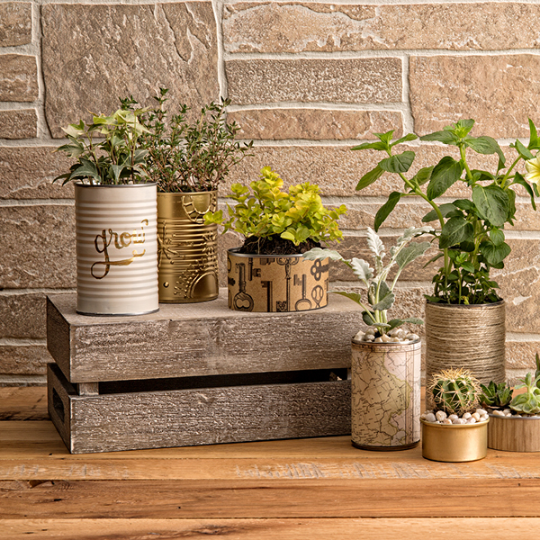 Make Your Own Can Planters - American Lifestyle Magazine