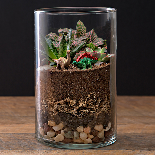 Terrarium - American Lifestyle Magazine