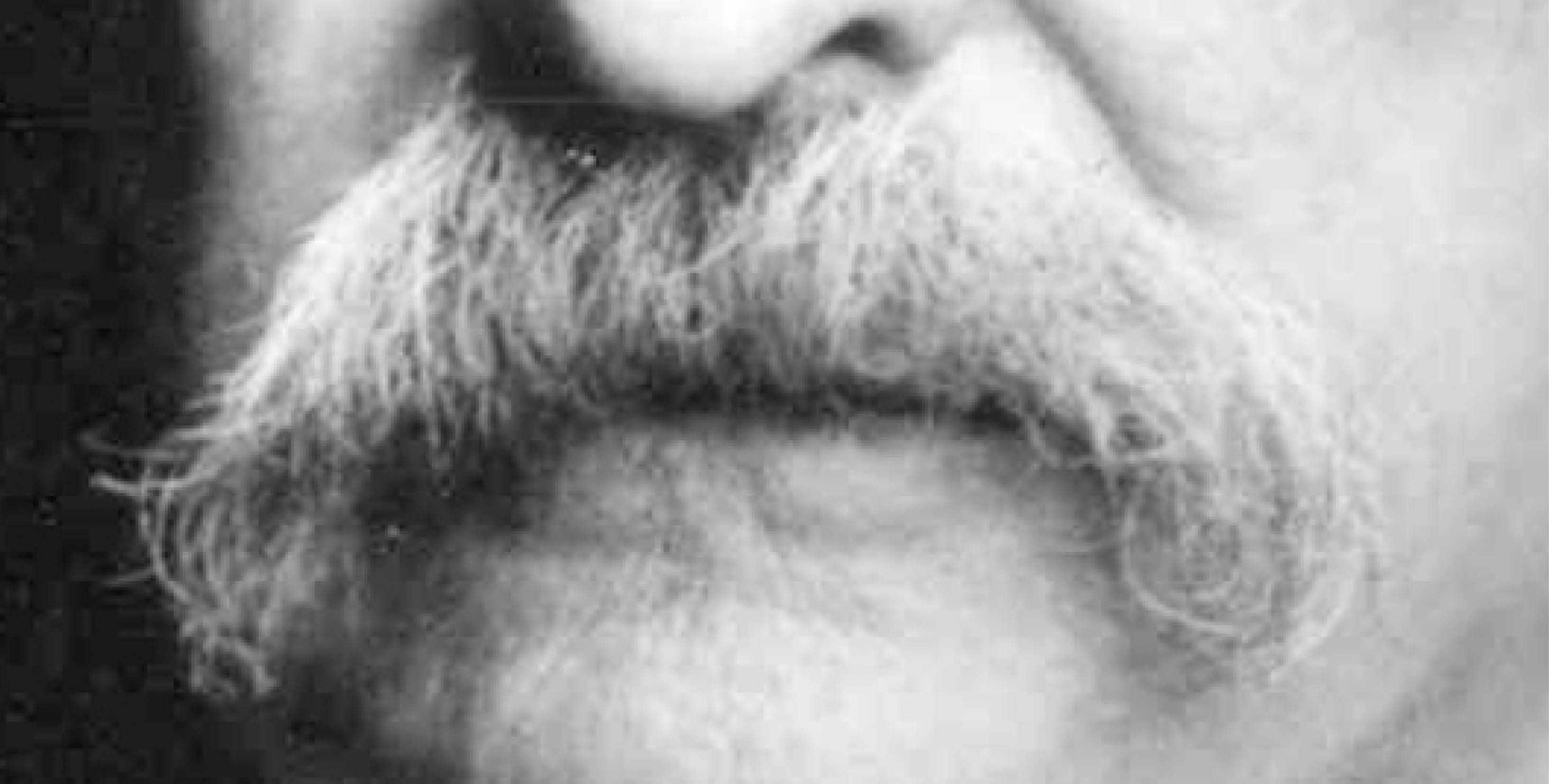 mark-twain-mustache - American Lifestyle Magazine