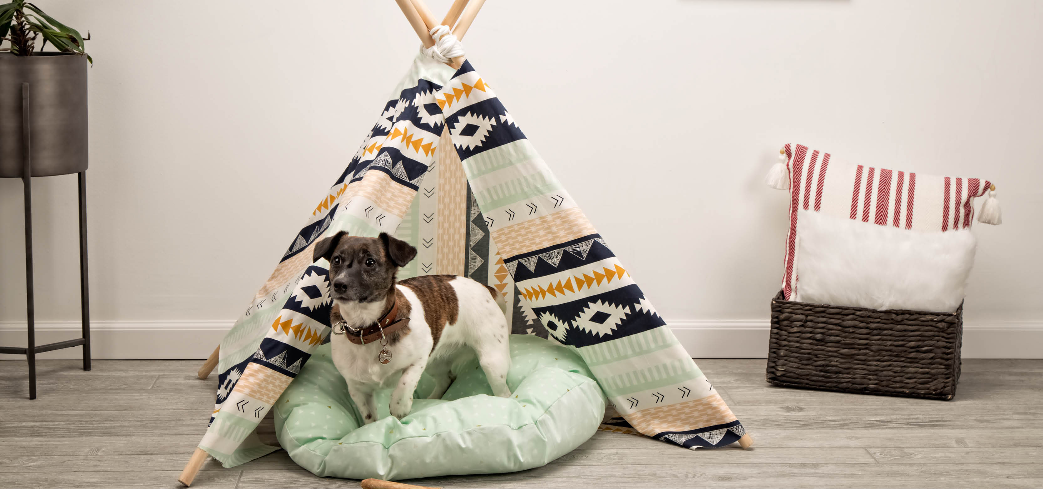 diy-cute-pet-teepee-tutorial-main - American Lifestyle Magazine