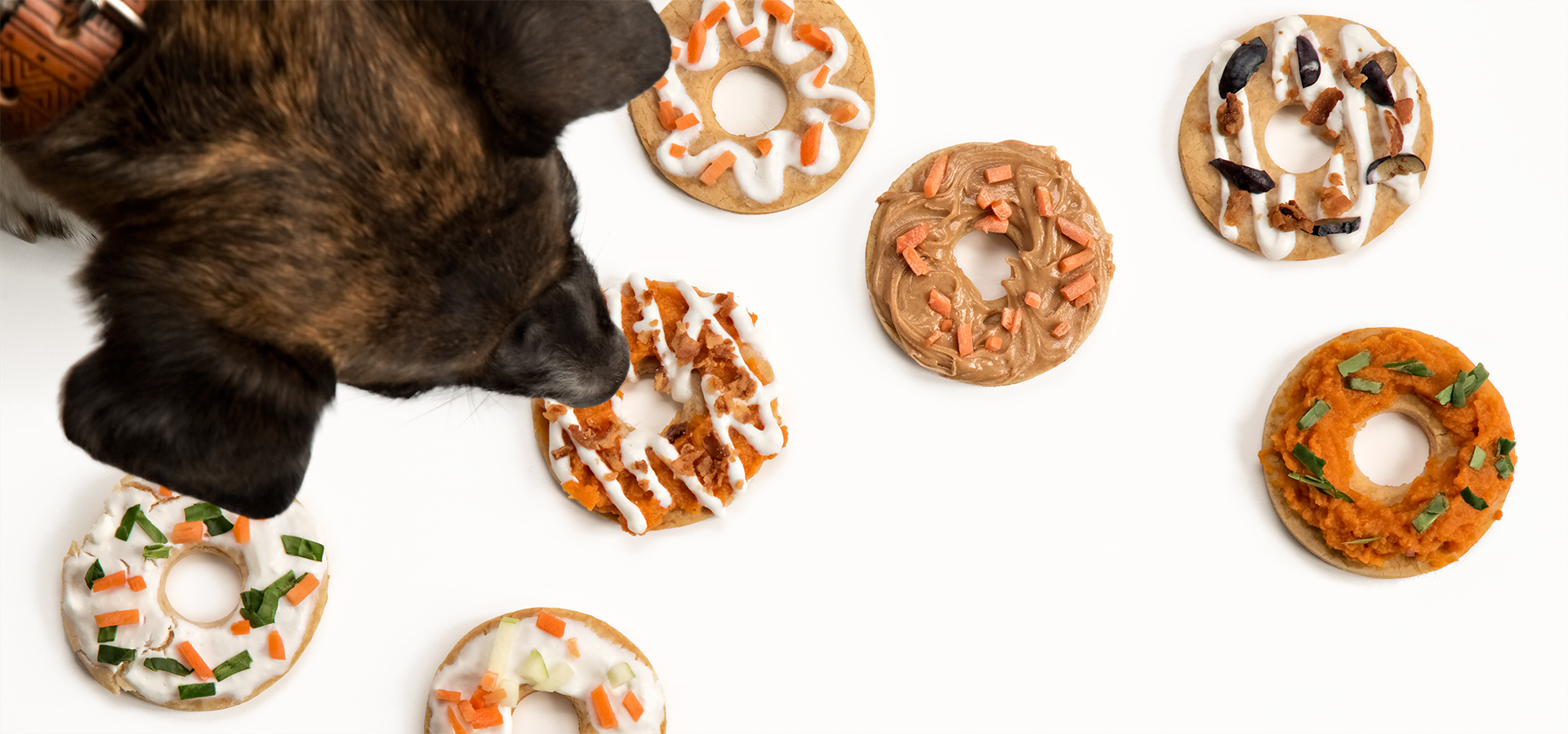 doggone-good-doughnuts-main - American Lifestyle Magazine