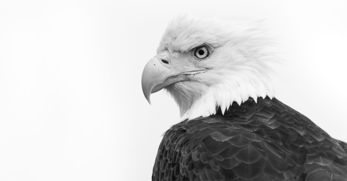 How Much Do You Know About America’s Symbol of Freedom? - American ...