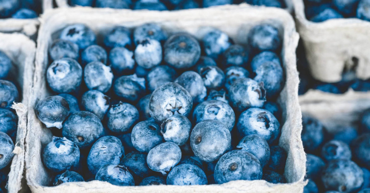 It’s National Blueberry Month! - American Lifestyle Magazine