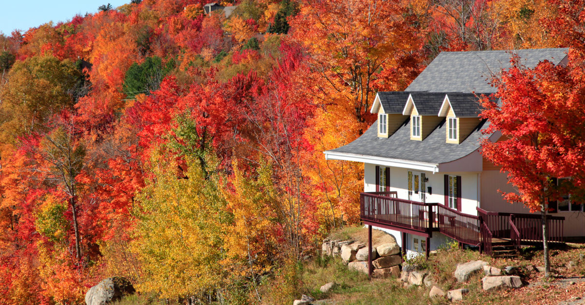 The Facts about Fall Homebuying - American Lifestyle Magazine
