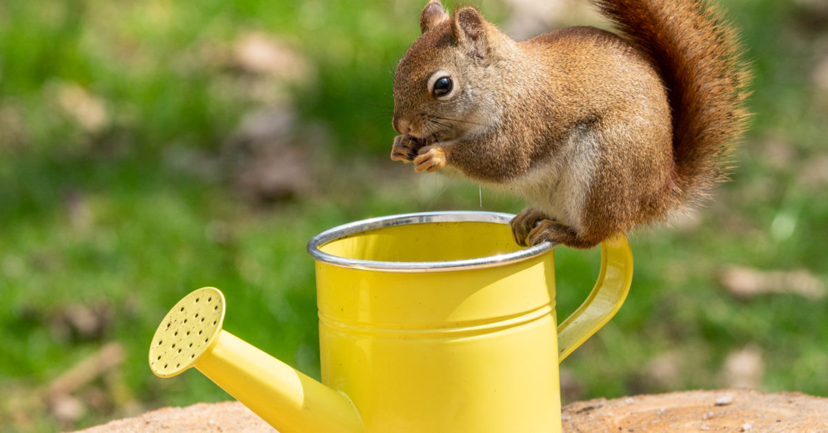 Fall-to-Spring Floral Success - American Lifestyle Magazine