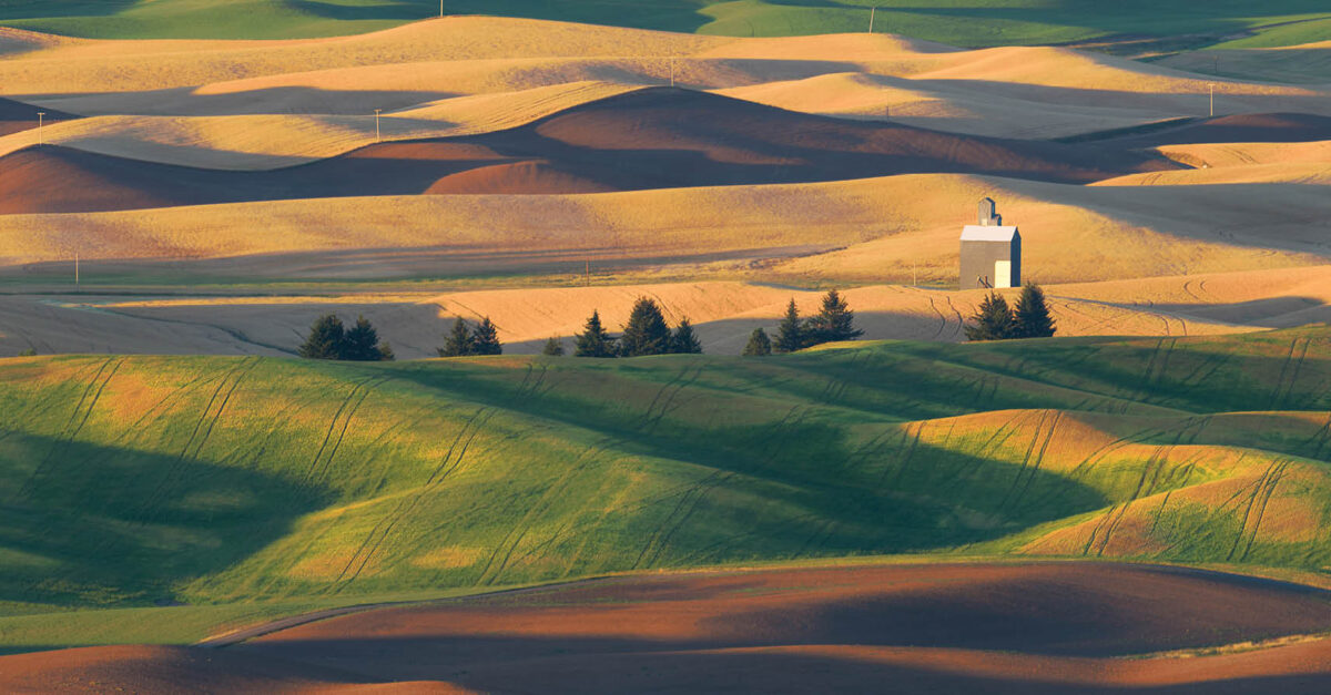 The Hills Are Alive - American Lifestyle Magazine