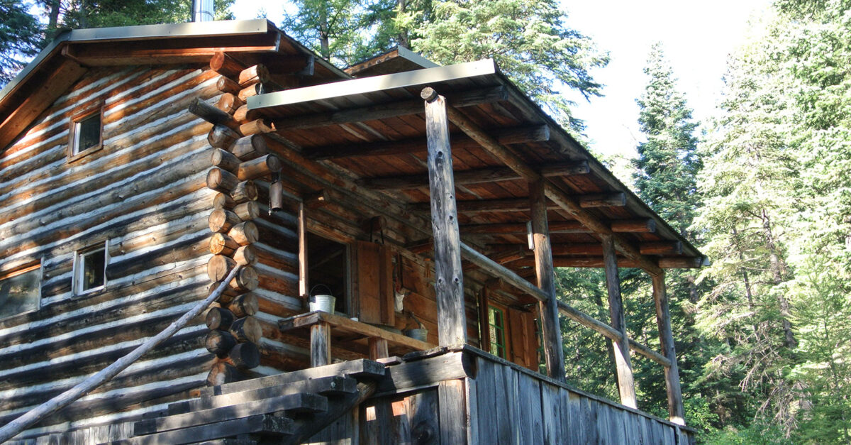 An Artist’s Woodland Escape - American Lifestyle Magazine